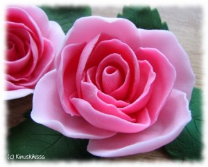 Ruusut | Reseptit | Kinuskikissa