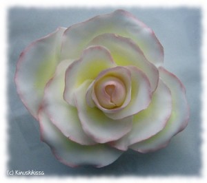 Ruusut | Reseptit | Kinuskikissa