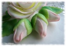 Ruusut | Reseptit | Kinuskikissa